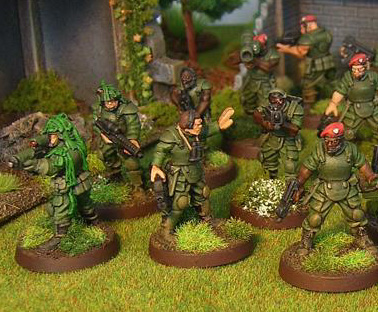 Combat Zone Chronicles : A Few Easy Cuts